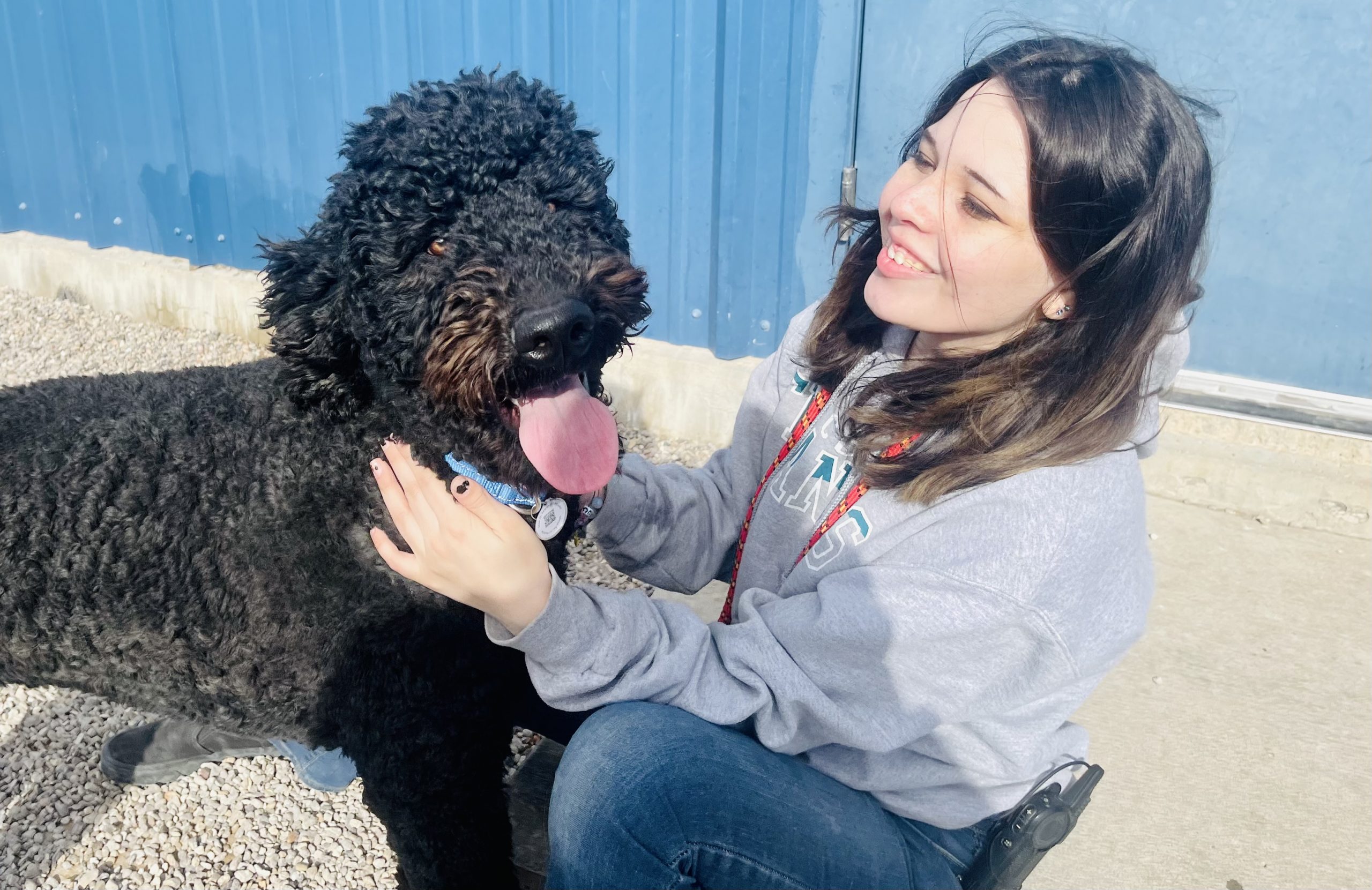 Your Pet Space Team | Your Pet Space