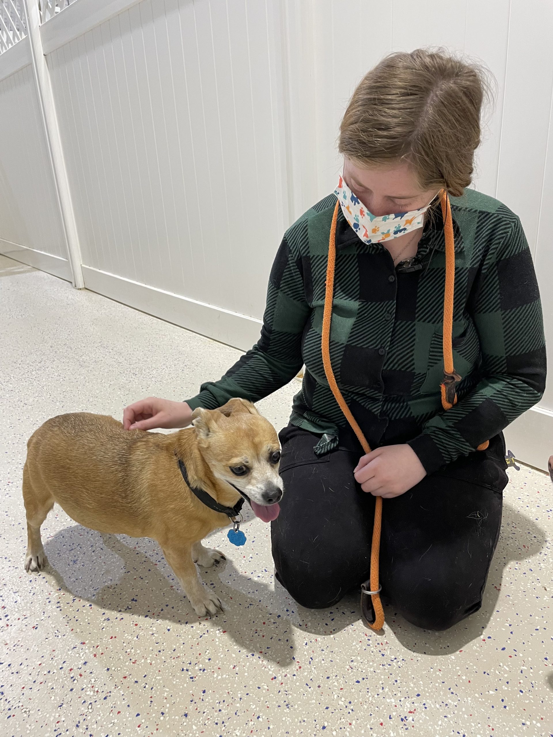 Your Pet Space Team | Your Pet Space