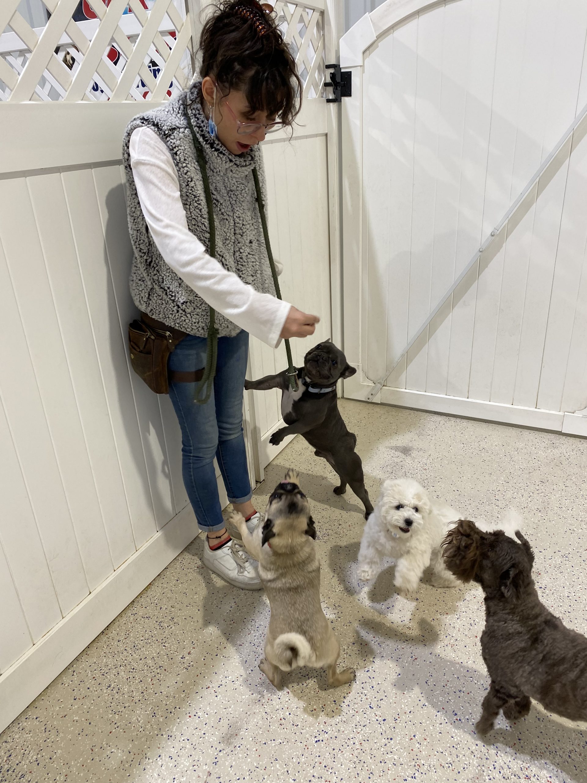 Your Pet Space Team | Your Pet Space