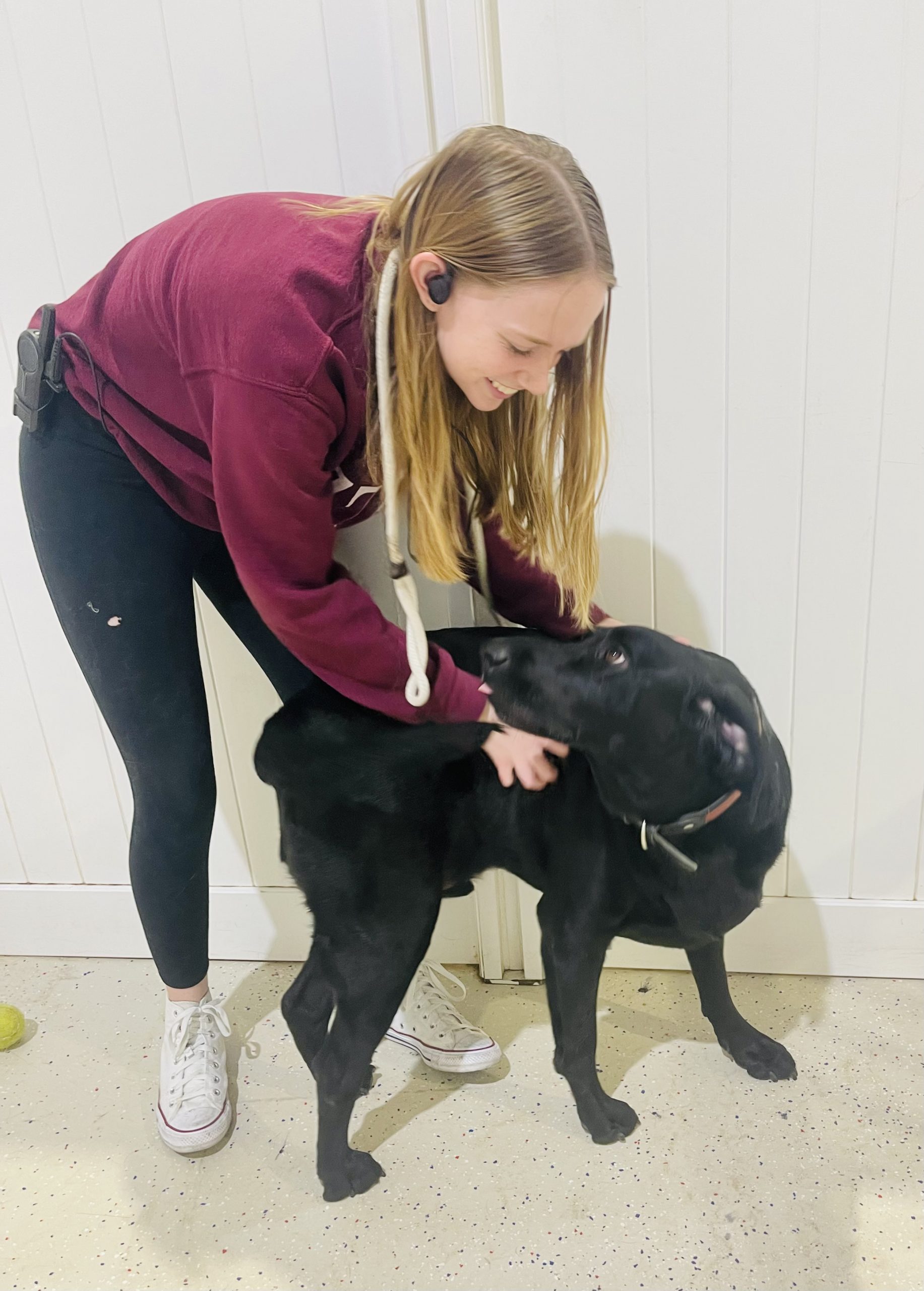 Your Pet Space Team | Your Pet Space