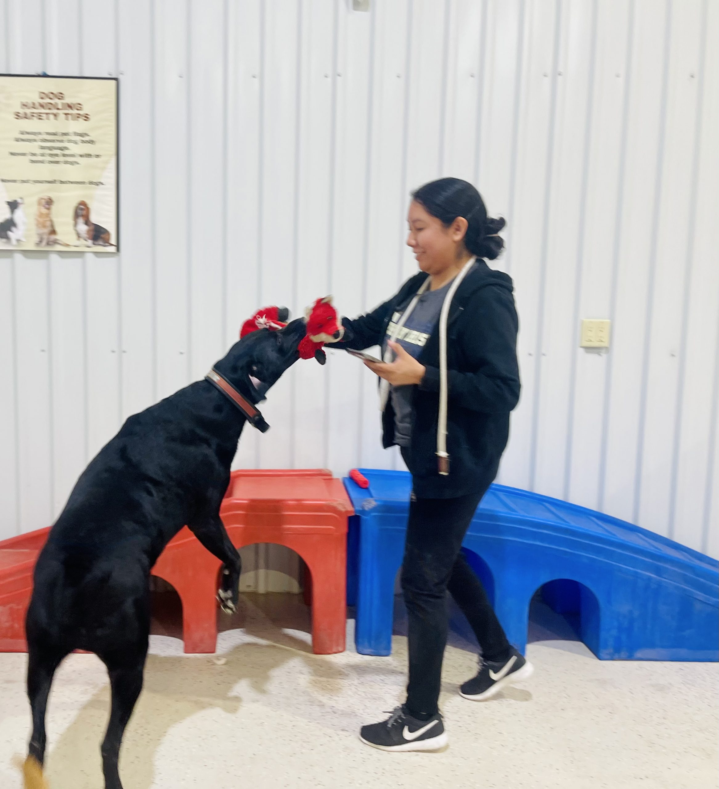 Your Pet Space Team | Your Pet Space