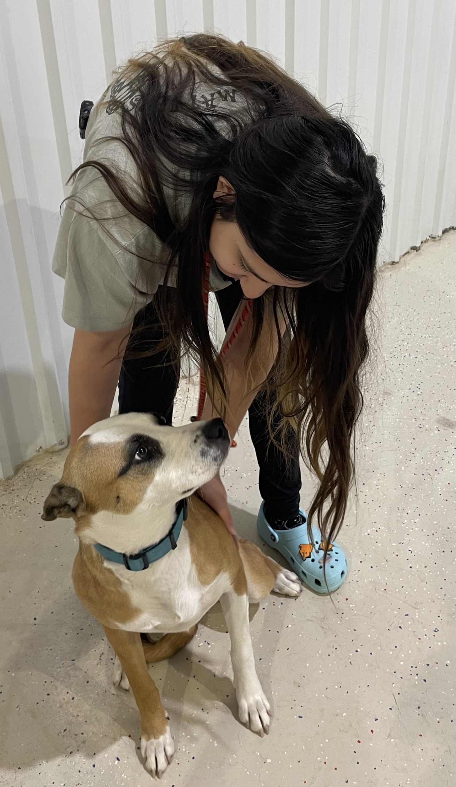 Your Pet Space Team | Your Pet Space