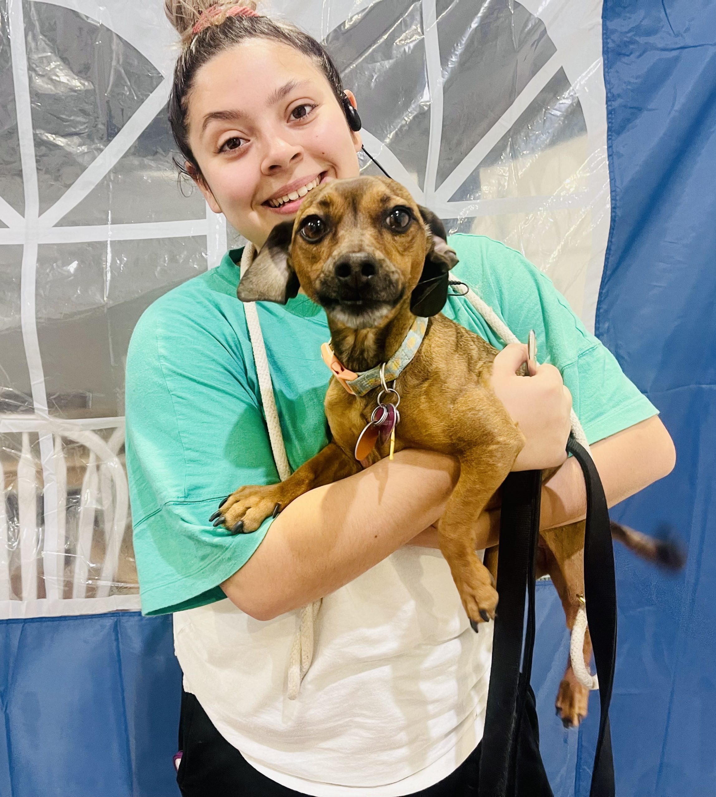 Your Pet Space Team | Your Pet Space