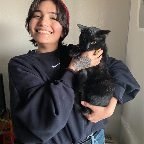 Your Pet Space Team | Your Pet Space